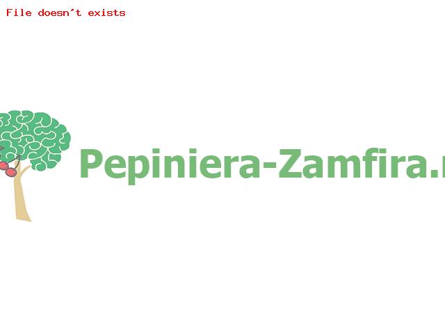 Prun TOPTASTE/St.Julien-Pachet 10buc